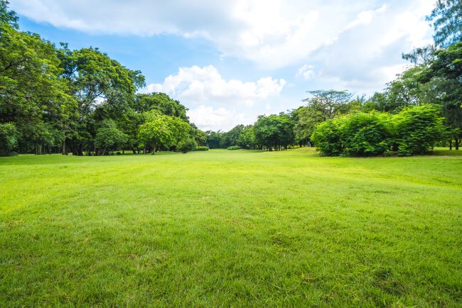 Just Down the Road: 4 Favorite Parks Near Heath, OH – Coughlin Nissan ...